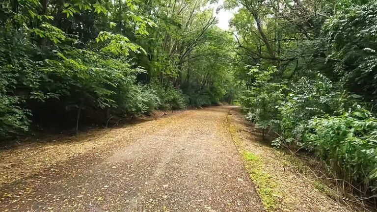 Top Outdoor Activities in Indiana You Can’t Miss - Indiana Hub