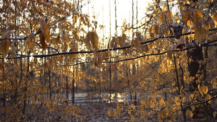 Top Outdoor Activities in Indiana You Can’t Miss - Indiana Hub